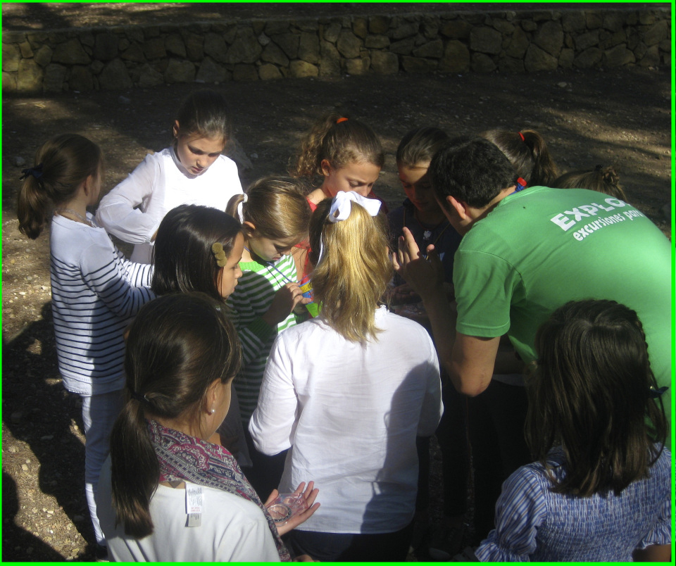 EXCURSION EXPLORA – EXCURSIONES Y PROYECTOS EDUCATIVOS